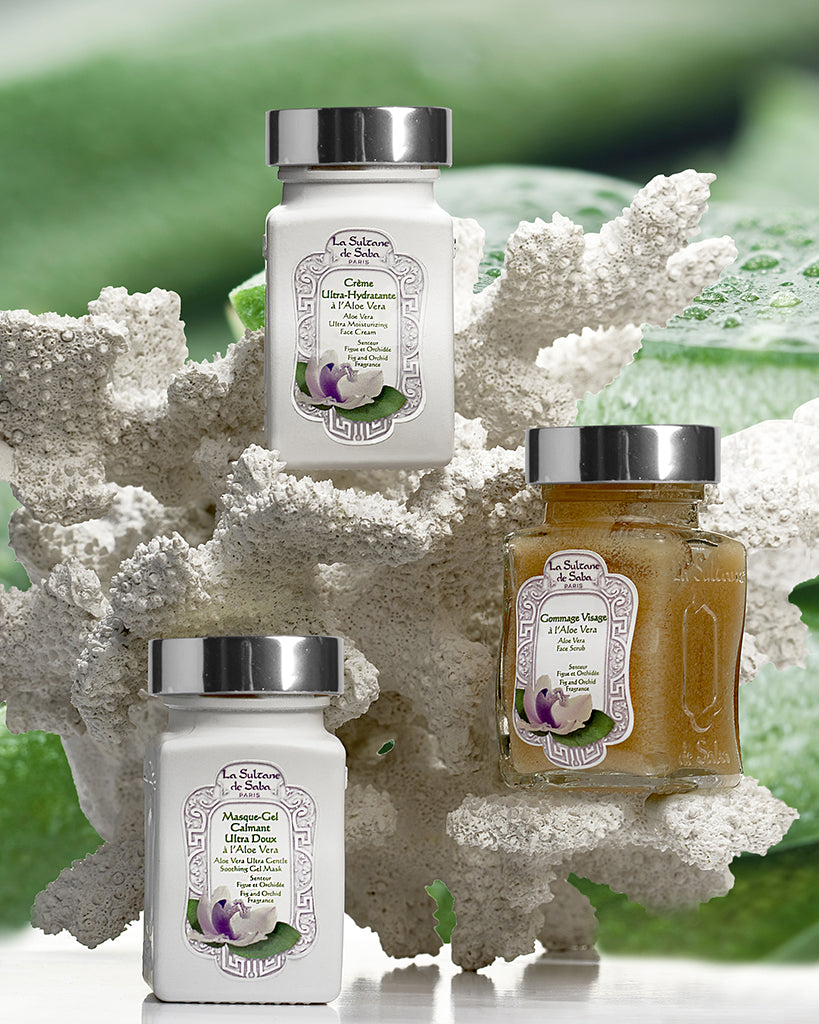 Mask Aloe Vera 100ml – La Sultane de Saba USA